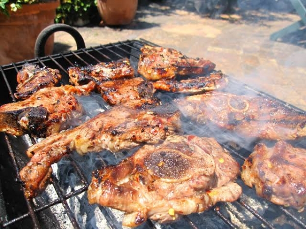 Braai party in South Africa