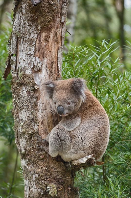 ertyui - Female Penpal from Denmark