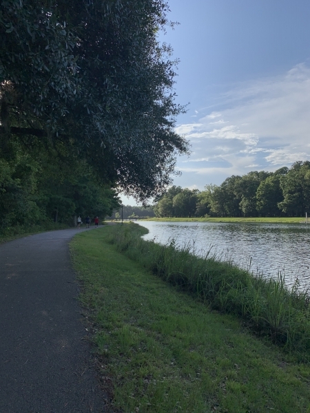 Walking around the pond in United States of America