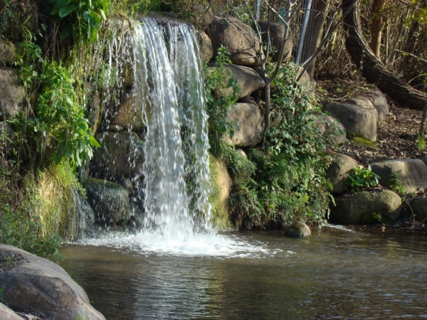 Hasbani River in Israel