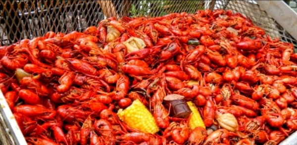 Louisiana Crawfish Festival in United States of America