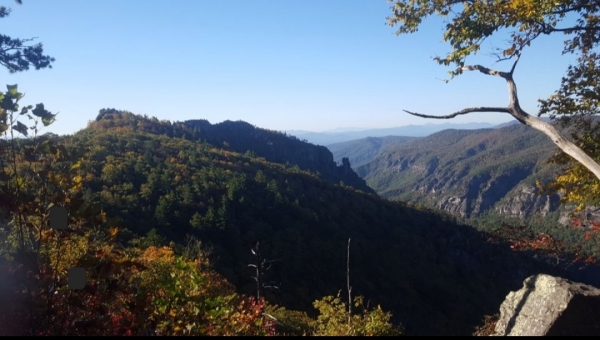 Linville Gorge in United States of America