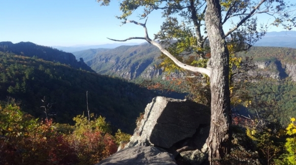 Linville Gorge in United States of America