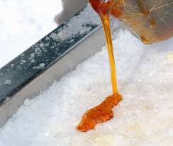 Maple Syrup Season in Canada