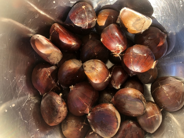 Strolling in autumn with a bag of roasted chestnuts in Italy