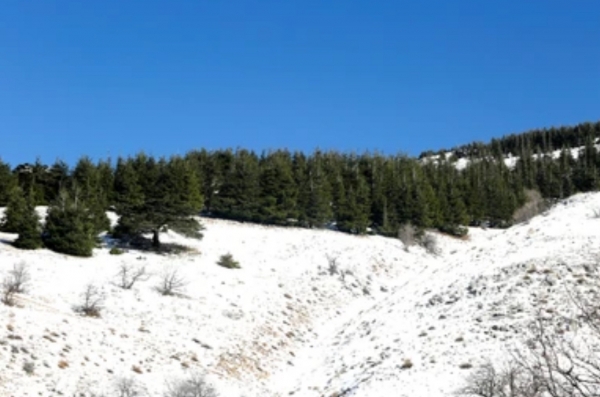 Arz El Barouk in Lebanon
