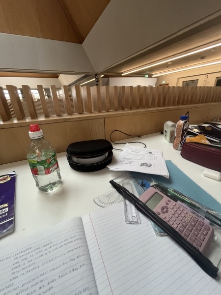 GCSE study grind in United Kingdom